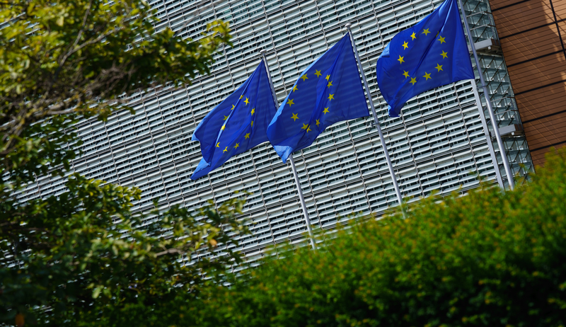 EU’s 2040 climate target a key milestone, but flexibilities could ...