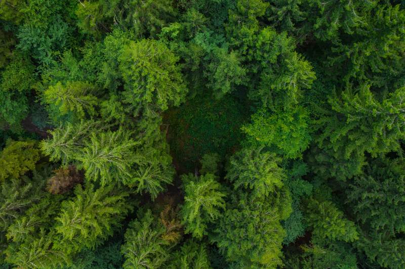 Ways to ensure a climate-neutral and climate-resilient EU energy ...