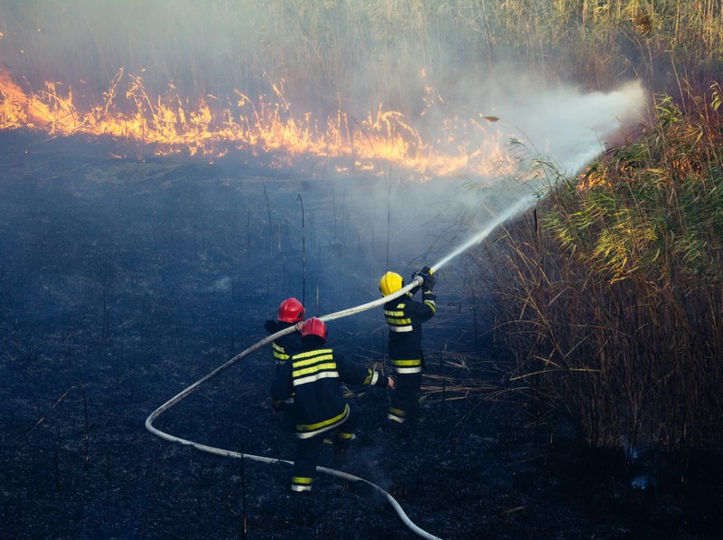 Strengthening resilience to climate change - Recommendations for an ...